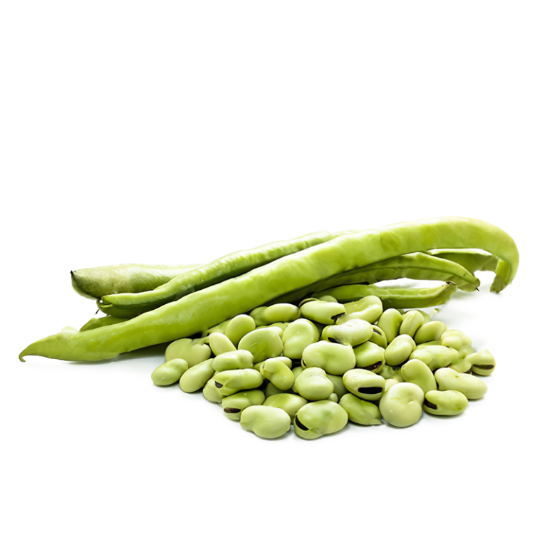 Broad Beans - USA Bubba Fresh