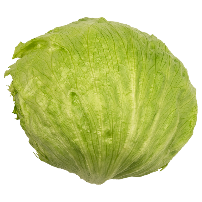 Iceberg - USA Bubba Fresh